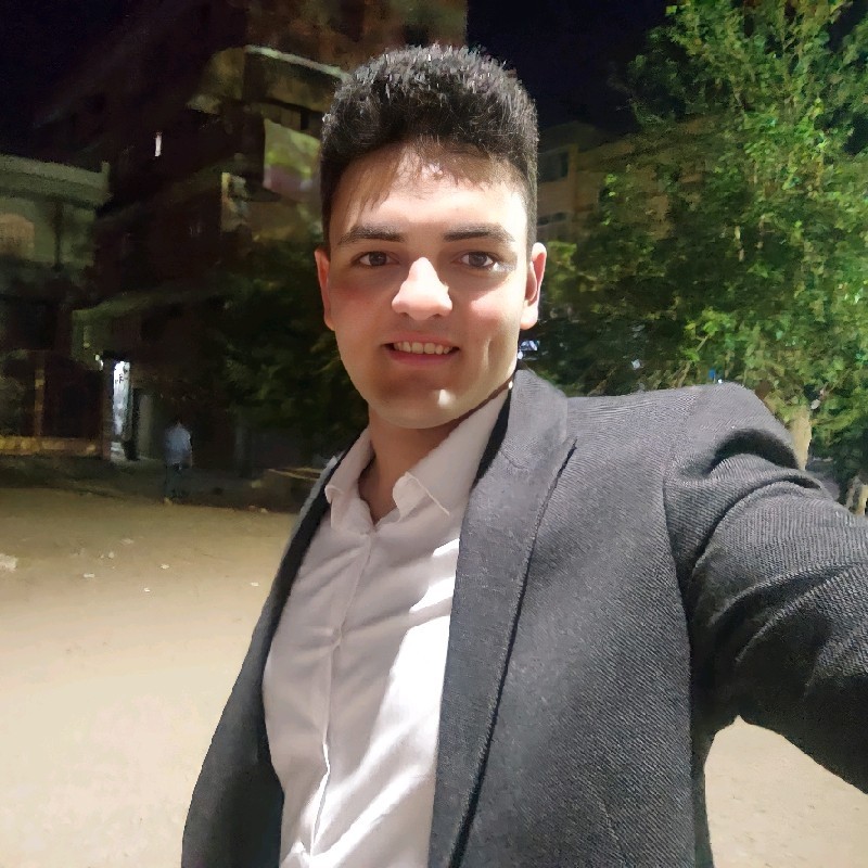 M. Salman - Portfolio